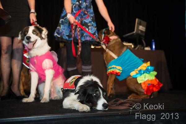 BlackTie&Tails©}KeokiFlagg01537A | Gallery Keoki – News